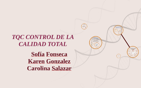 TQC CONTROL DE LA CALIDAD TOTAL by Carolina Salazar on Prezi