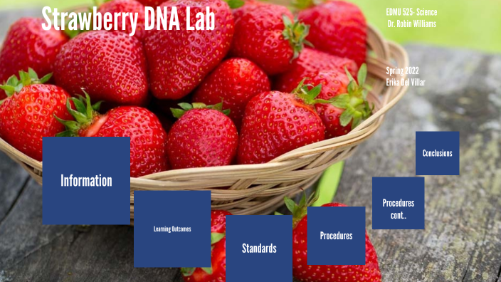 Who knew Strawberries had DNA?! by Erika Del Villar on Prezi