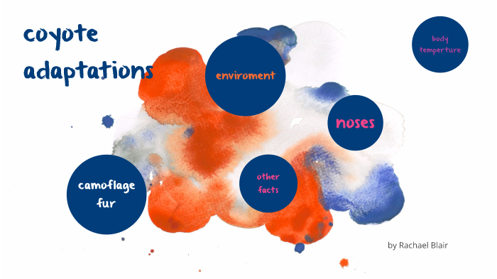 coyote adaptations by rachael blair on Prezi