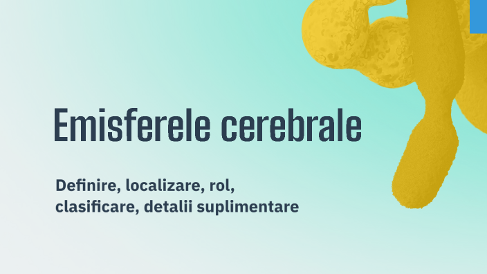 Emisferele cerebrale by Bruma Claudia on Prezi