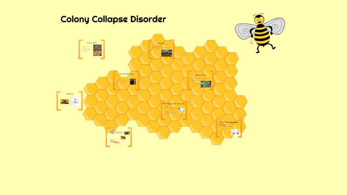 Colony Collapse Disorder by on Prezi