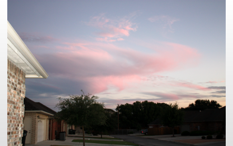 Wilson v. Layne by Taylor Miessau on Prezi