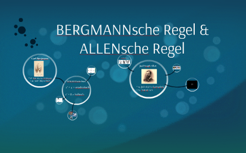 BERGMANNsche Regel & ALLENsche Regel by ahlam nani on Prezi