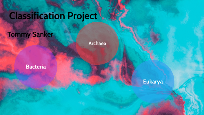 Tommy Sanker classification by Thomas Sanker on Prezi