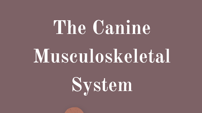Animal Musculoskeletal System Interactive Map by Maggie Lever on Prezi
