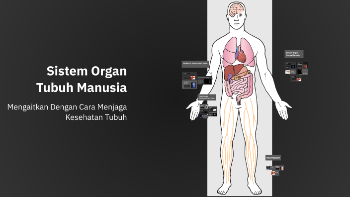 Sistem Organ Tubuh Manusia by RAHMAT RAMADHANI on Prezi