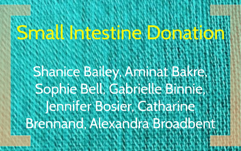 Small intestine Donation by Sophie Bell on Prezi