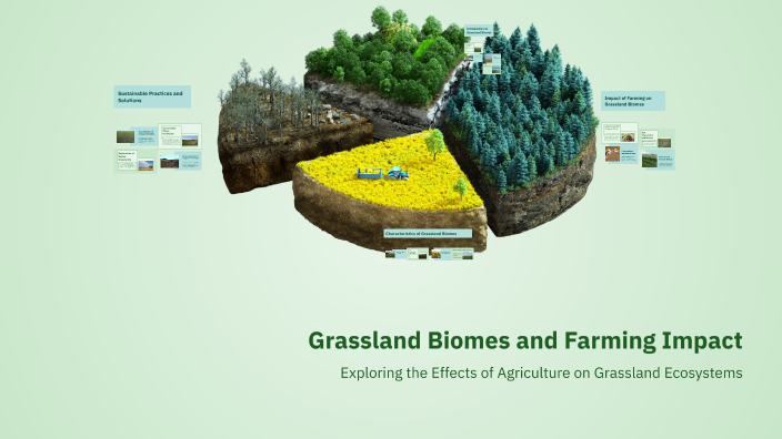 Grassland Biomes and Farming Impact by Ava Borger on Prezi