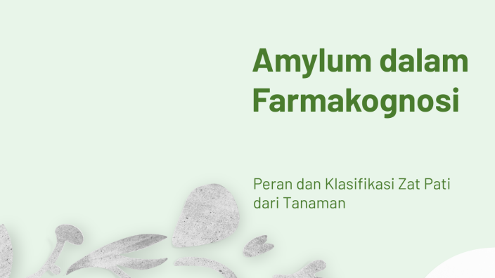 Amylum dalam Farmakologi by fitri kamilia krismianti khowi on Prezi