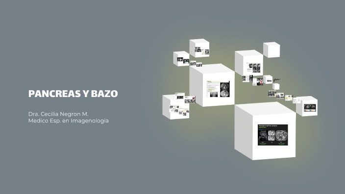 PANCREAS Y BAZO by MIRIAM CECILIA NEGRON MONTAÑO on Prezi