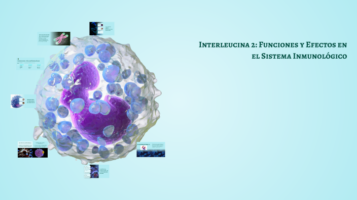 Interleucina 2: Funciones y Efectos en el Sistema Inmunológico by Sara ...
