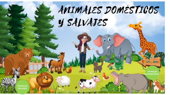 los animales salvajes y Domesticos by rosa calle on Prezi