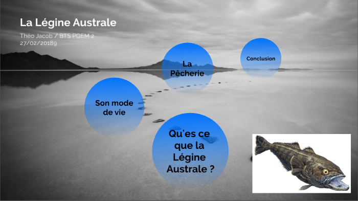 La Légine Australe by Théo Jacob on Prezi