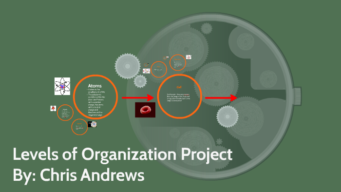 Levels of Organization Project by Chris Andrews on Prezi