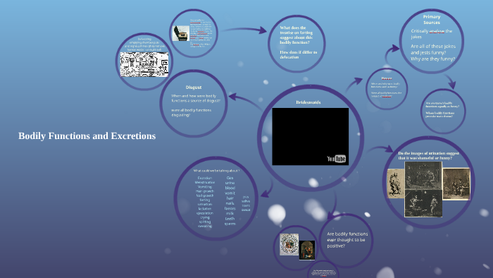 Bodily Functions and by Jennifer Evans on Prezi