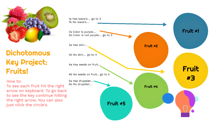 Dichotomous Key Project by C Ventura on Prezi