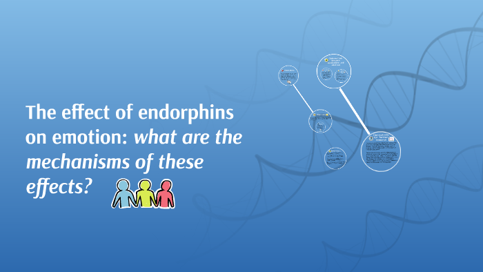 The effect of endorphins on emotion: what are the mechanisms by Matilda ...