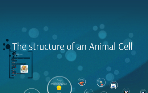The makeup of an Animal Cell by Harrison Gould on Prezi