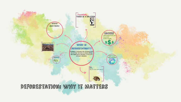 Deforestation: Why It Matters by Lisa Fojtik on Prezi