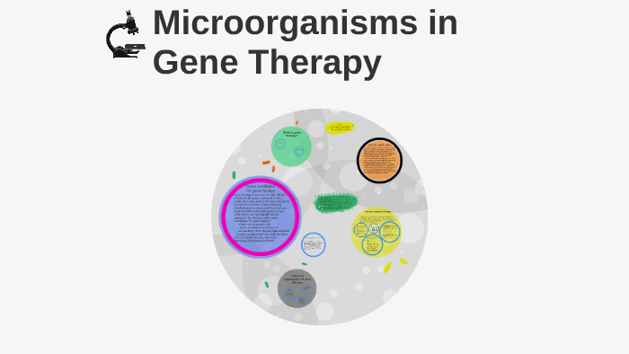 Microorganisms in Gene Therapy by Cassie Laughlin on Prezi