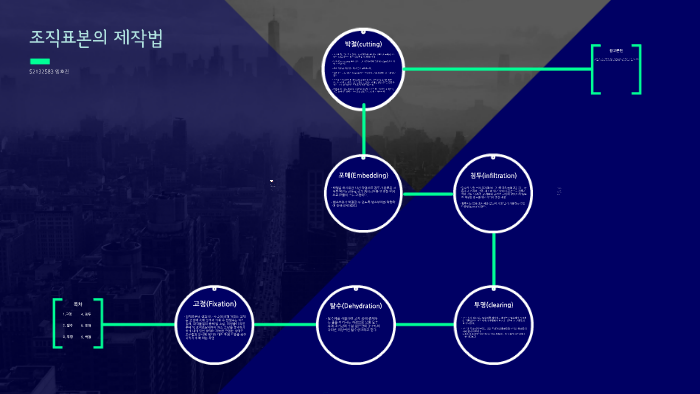 조직표본의 제작법 by hojin lim on Prezi