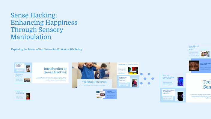 Sense Hacking: Enhancing Happiness Through Sensory Manipulation by Jan ...