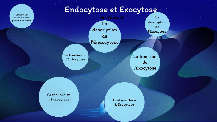 Endocytose et Exocytose- Presentation by YOUSSEF BENANI on Prezi