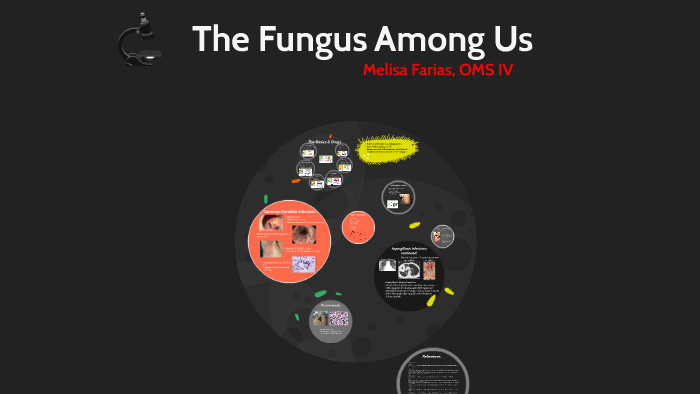 The Fungus Among Us by Melisa Farias on Prezi