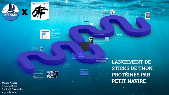 LANCEMENT DE STICKS DE THON PROTÉINÉS PAR PETIT NAVIRE by Alpha Oumar ...