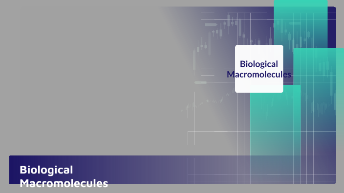 Biological Macromolecule by Emily Johnsen on Prezi