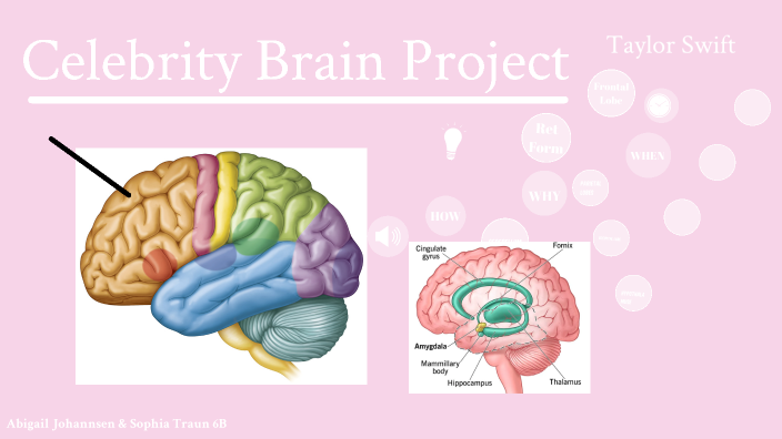 Taylor Swift - Celebrity Brain Project by Abi Johannsen on Prezi