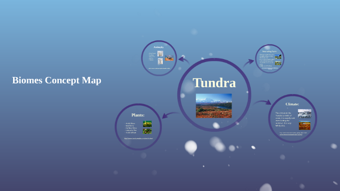 Biomes Concept Map by Michelle Estrada on Prezi