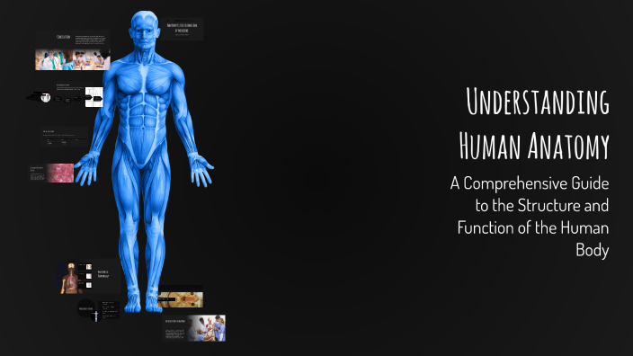 Understanding Human Anatomy by mohammed reehan on Prezi