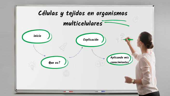 Células y tejidos en organismo multicelulares animales by PEDRO ASTUDILLO on Prezi
