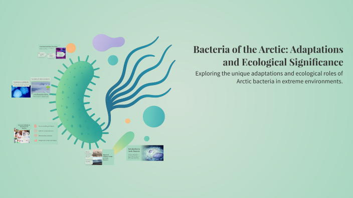 Bacteria of the Arctic: Adaptations and Ecological Significance by Fhem ...
