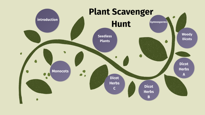Plant Scavenger Hunt by Brandy Hernandez Torres on Prezi