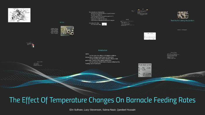 The effect of tidal changes on barnacle feeding rates by lucy stevenson ...
