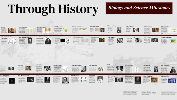 1665 Cells by Sierra Armstrong on Prezi
