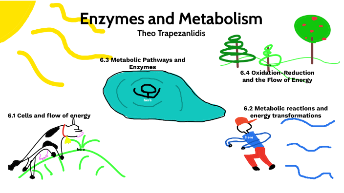 Metabolism: Energy and enzymes by Teo Trapezanlidis on Prezi