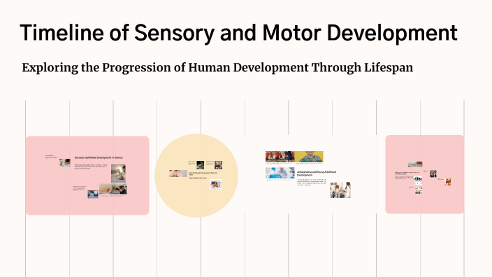 Journey of Development: Sensory and Motor Milestones by Sienna Burke on ...