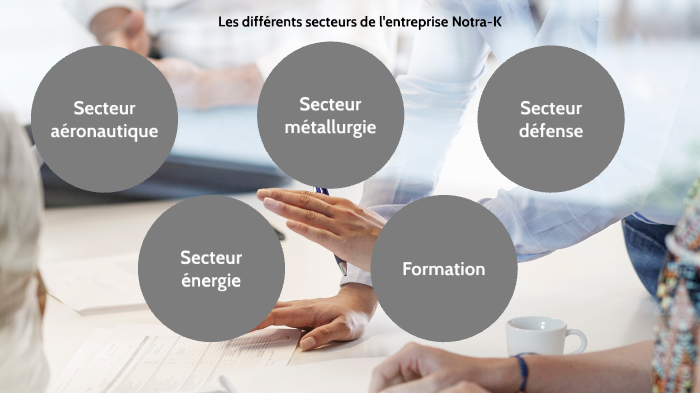 Les différents secteurs d'activité by Elodie Resosemito on Prezi