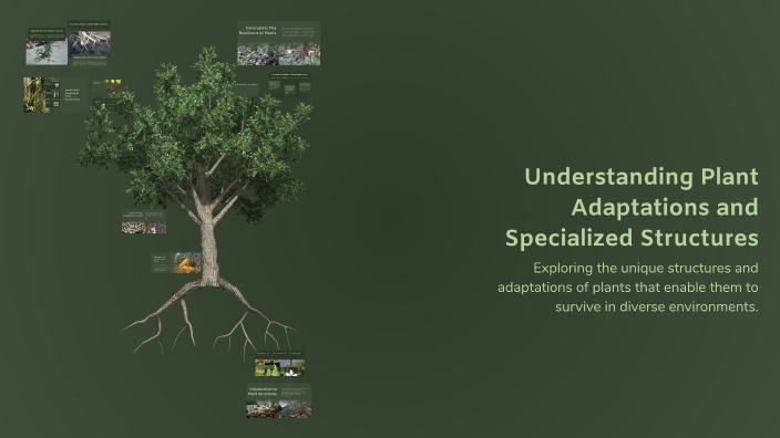 Understanding Plant Adaptations and Specialized Structures by FLORES ...