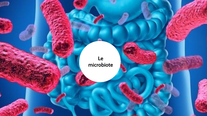 qu'est-ce le microbiote by Sam 2.0 on Prezi