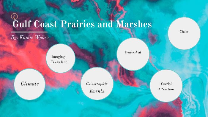 Gulf Coast Prairies and Marshes by Kaylie Wybro on Prezi
