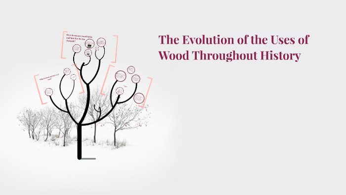 The Evolution of the Uses of Wood Throughout History by Rania Rizwan on ...
