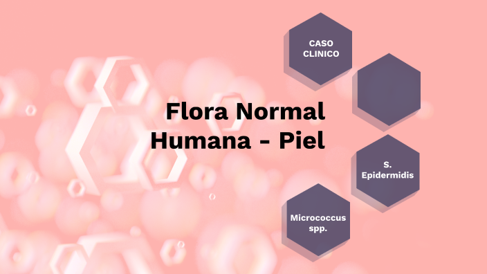 FLORA NORMAL HUMANA - PIEL by Joseph Daniel De La Hoz Doria on Prezi