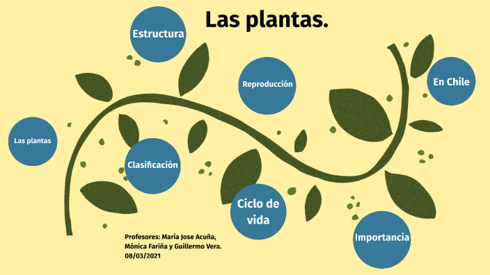 Unidad 1: "Las Plantas" by Guillermo Alexis Vera Morales on Prezi
