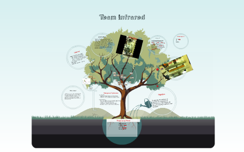 Properties of Wood by Alexander Obert on Prezi