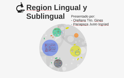 Region Lingual y Sublingual by Ingried Medaly on Prezi