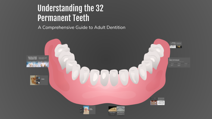 Understanding the 32 Permanent Teeth by Machellea Jordan on Prezi